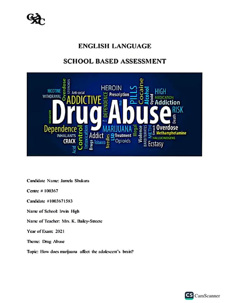 Sample english SBA | PDF