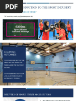 UK Sport Development Structure Overview | PDF | Sports | Economies