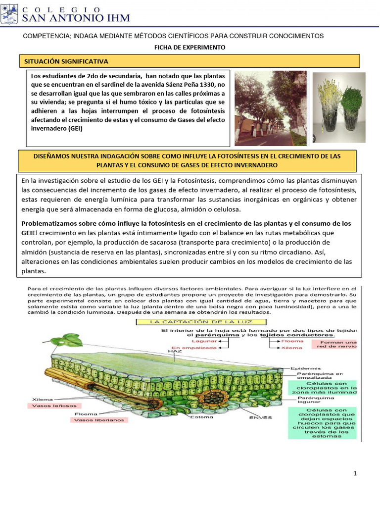 FICHA - DE - EXPERIMENTO - 2DO (1) Por Romina Macedo 10 | PDF ...