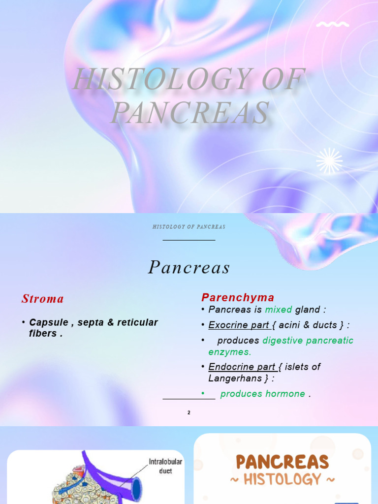 Histology of Pancreas | Download Free PDF | Pancreas | Animal Anatomy