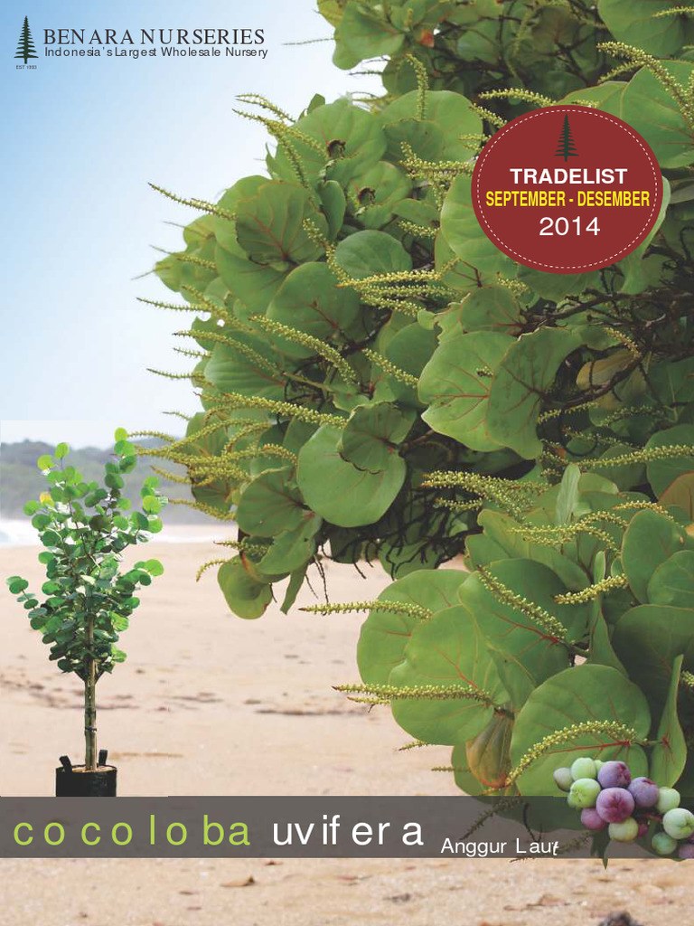 Benara Nursery Desember 2014 | PDF
