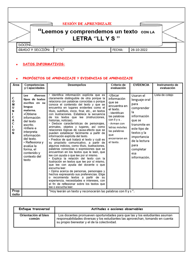 Comprendiendo La Letra LL y S | PDF | Información | Evaluación