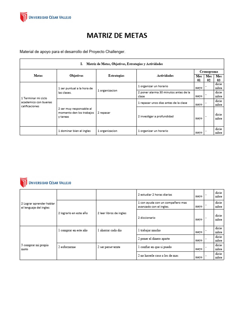 Matriz de Metas Cesion 13 | PDF
