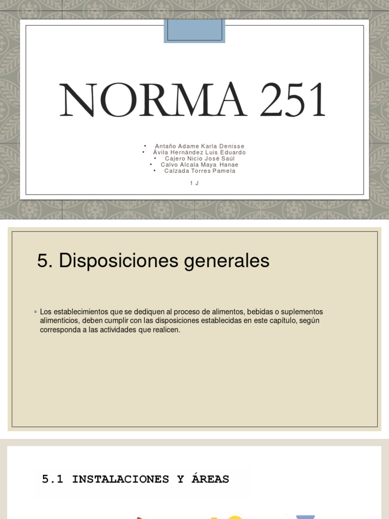 Norma 251 | PDF