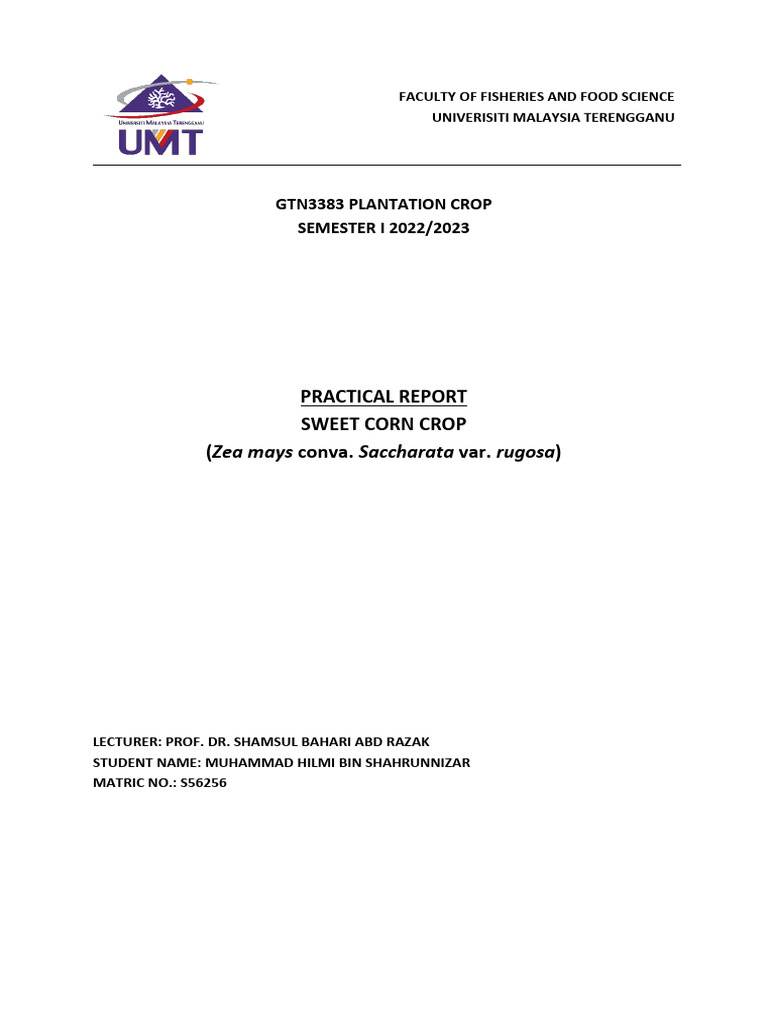 s56256 - Muhd Hilmi - Sweet Corn Report | PDF | Maize | Seed