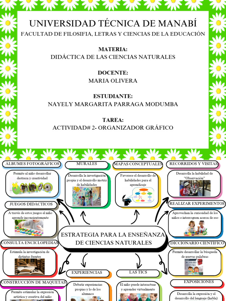 Organizador Grafico | PDF | Enseñando | Aprendizaje