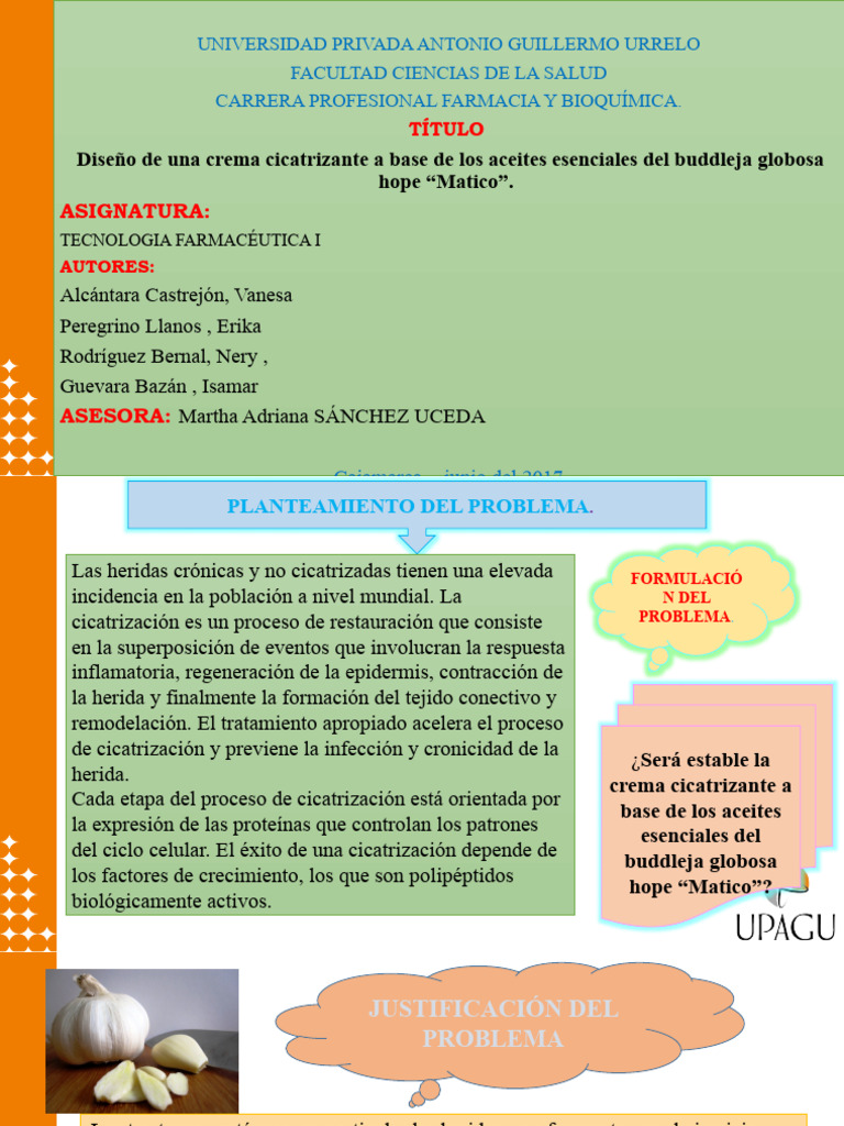 Proyecto Matico | PDF | Cicatrización de la herida | Química