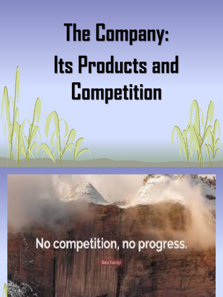 The Company Its Products and Competition | PDF | Sales | Competition