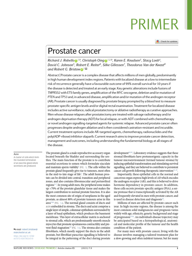Rebel Lo 2021 | PDF | Prostate Cancer | Prostate