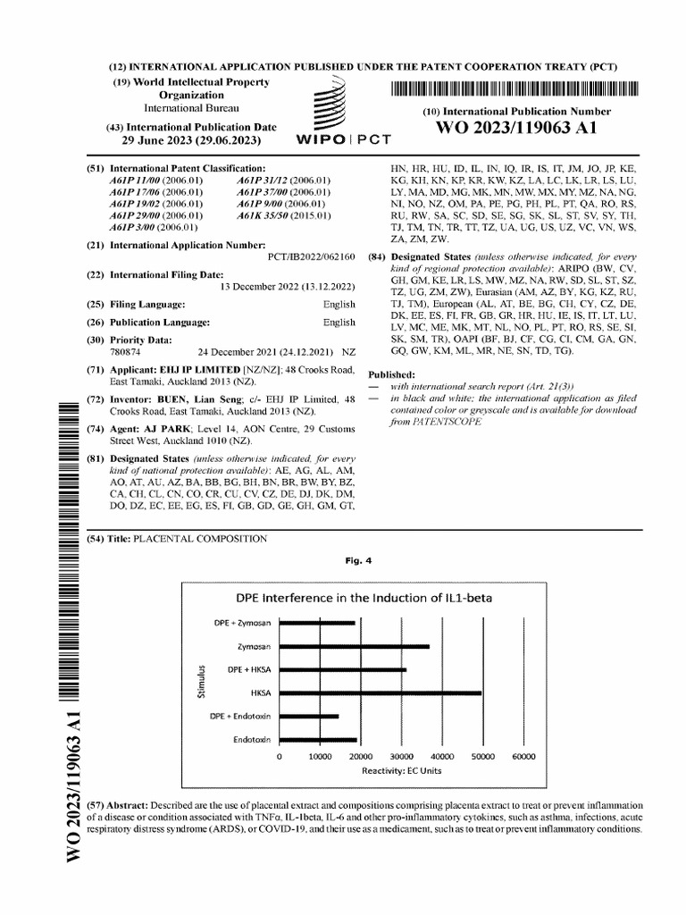 Wo2023119063 Pamph 20230629 5671 | PDF