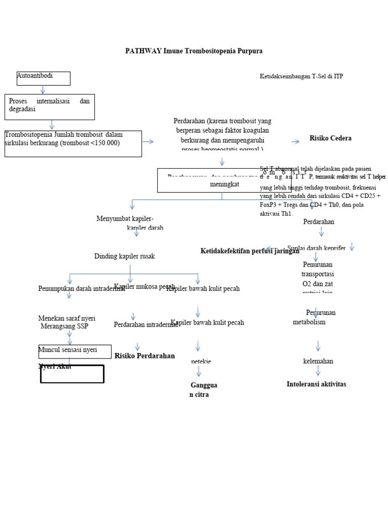 Pathway Sdki Dan Siki Itp Kelompok 3 | PDF