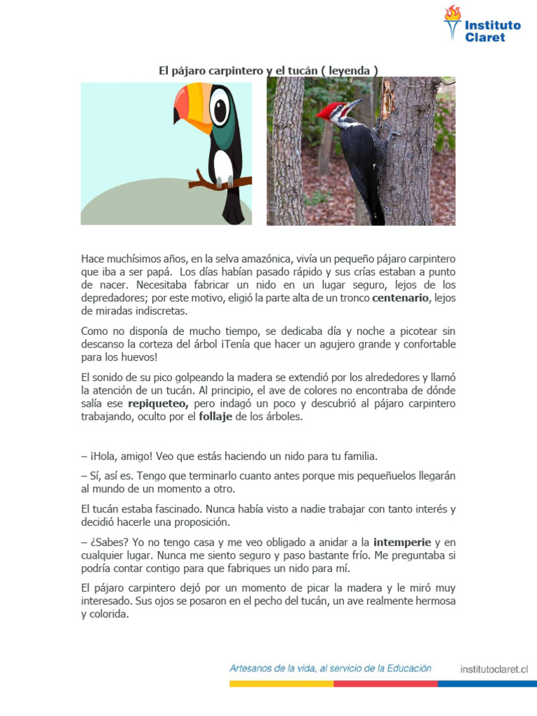 El-Pájaro Carpintero y El Tucán | PDF | Aves | Ornitología