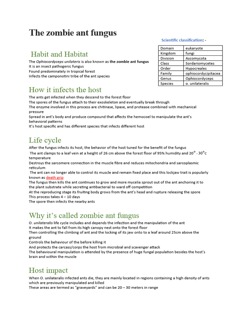 The Zombie Ant Fungus | PDF | Organisms | Mycology