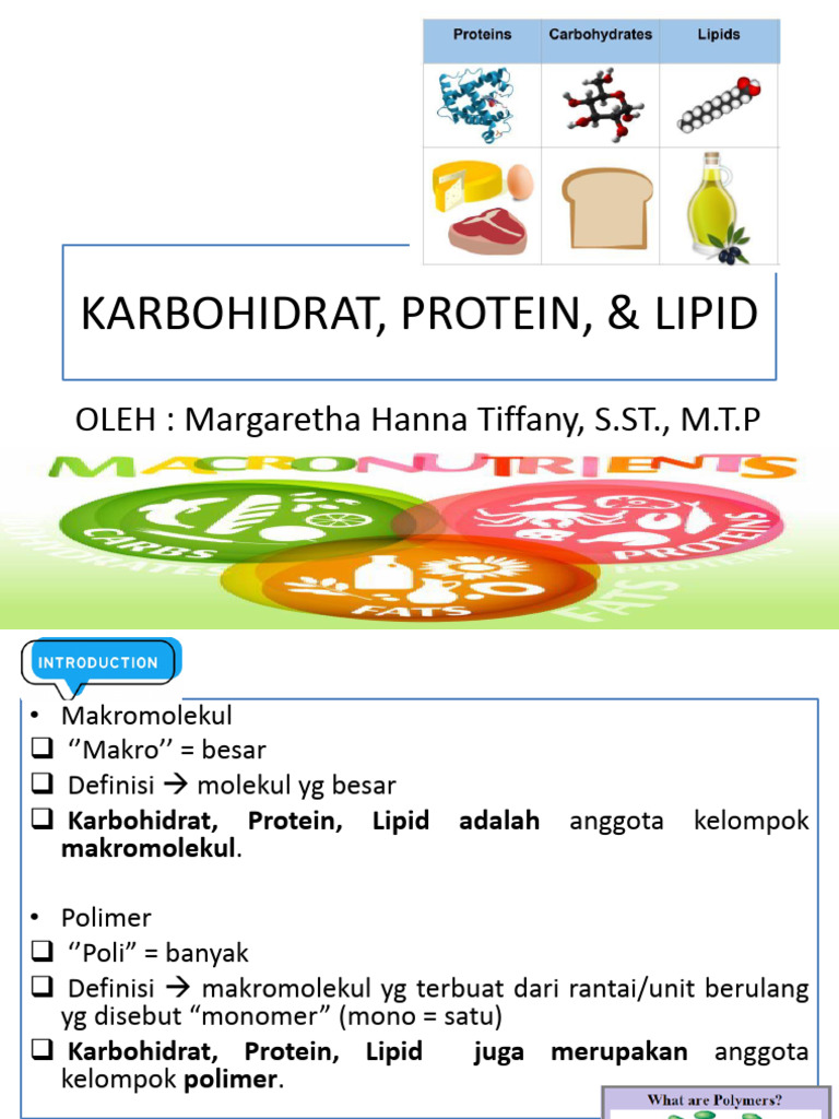 Karbohidrat, Protein Dan Lipid | PDF