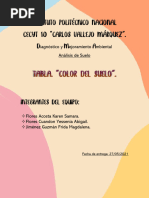 Suelos Fluvisoles: Importancia y Uso | PDF | Suelo | Riego