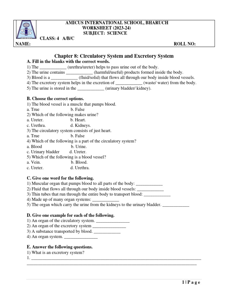 Circulatory and Excretory Systems Worksheet | PDF | Human Body ...
