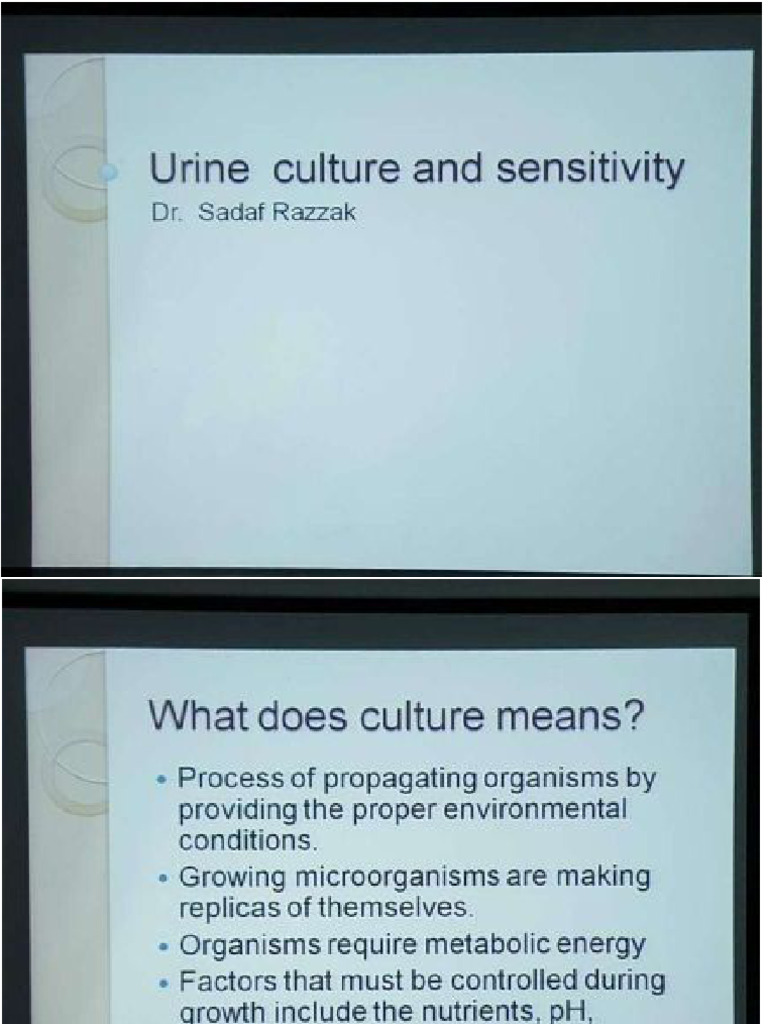 Urine Culture & Sensitivity | PDF