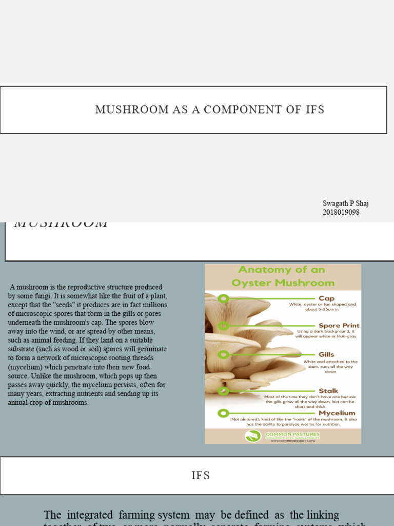 Mushroom As A Component of Ifs: Swagath P Shaj 2018019098 | PDF | Soil ...