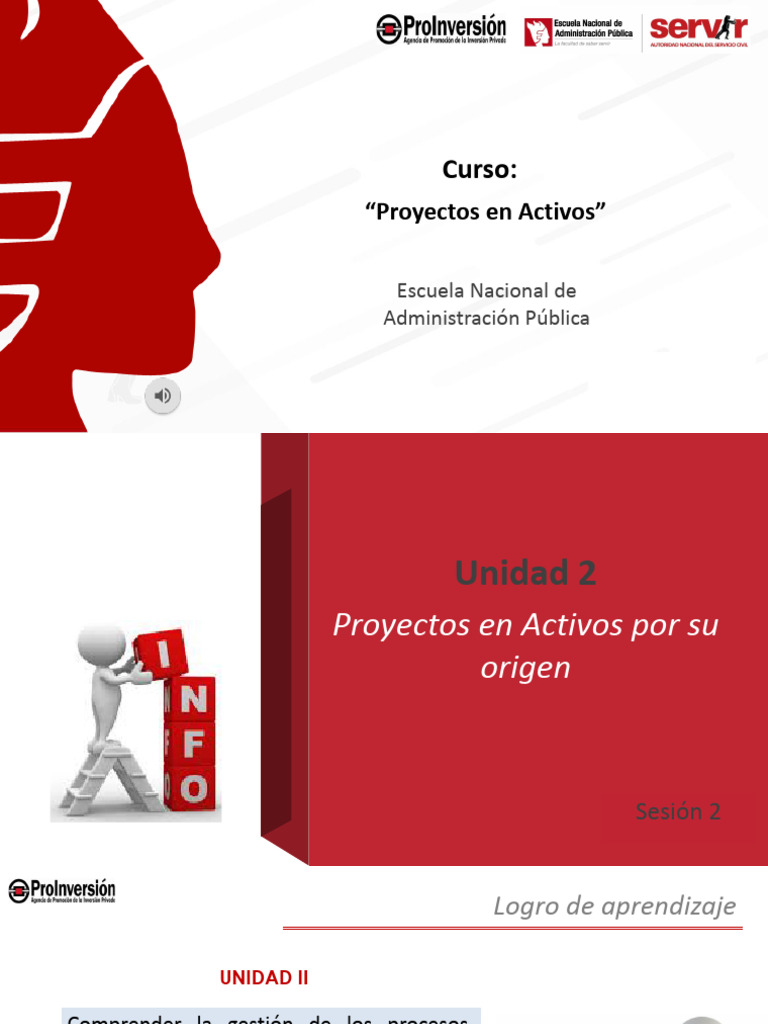 Proyectos en Activos: Gestión y Fases | PDF | Planificación ...