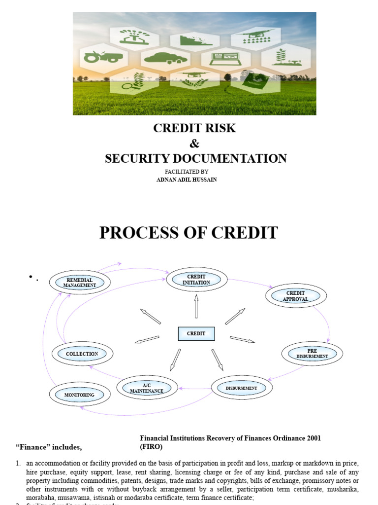 Credit Risk and Security Documentation For Agri Officers | PDF | Money | Guarantee