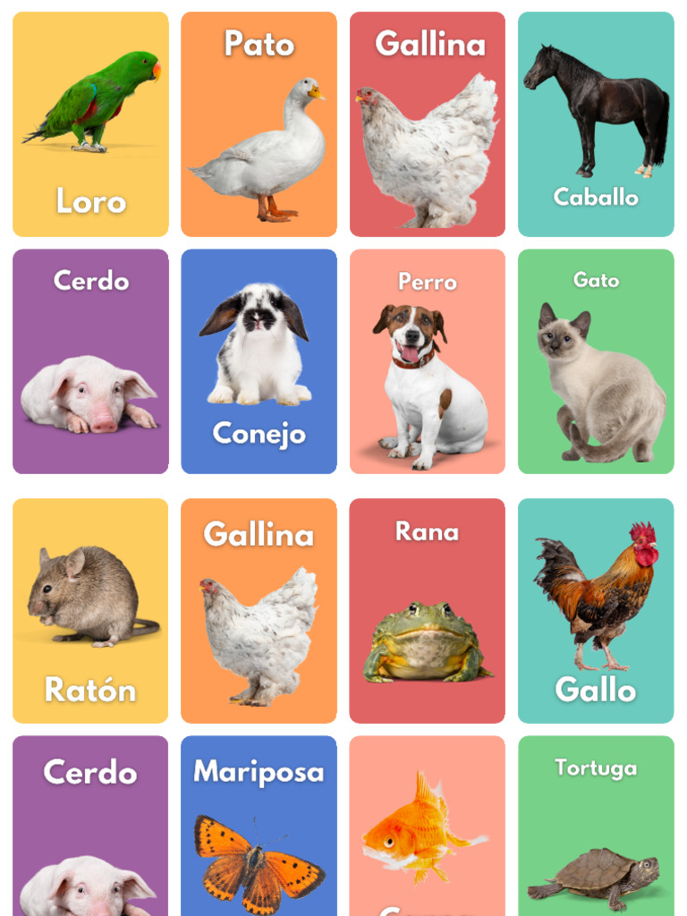 Aprende los Animales Fotos Tarjetas Láminas | PDF