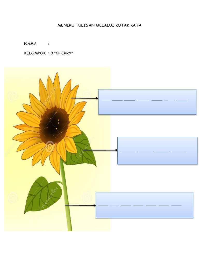 Meniru Tulisan Melalui Kotak Kata | PDF