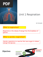 Grade 7 Worksheet | PDF | Breathing | Respiratory System