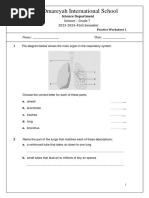 WS - Biology Grade 8 | PDF | Respiratory System | Breathing