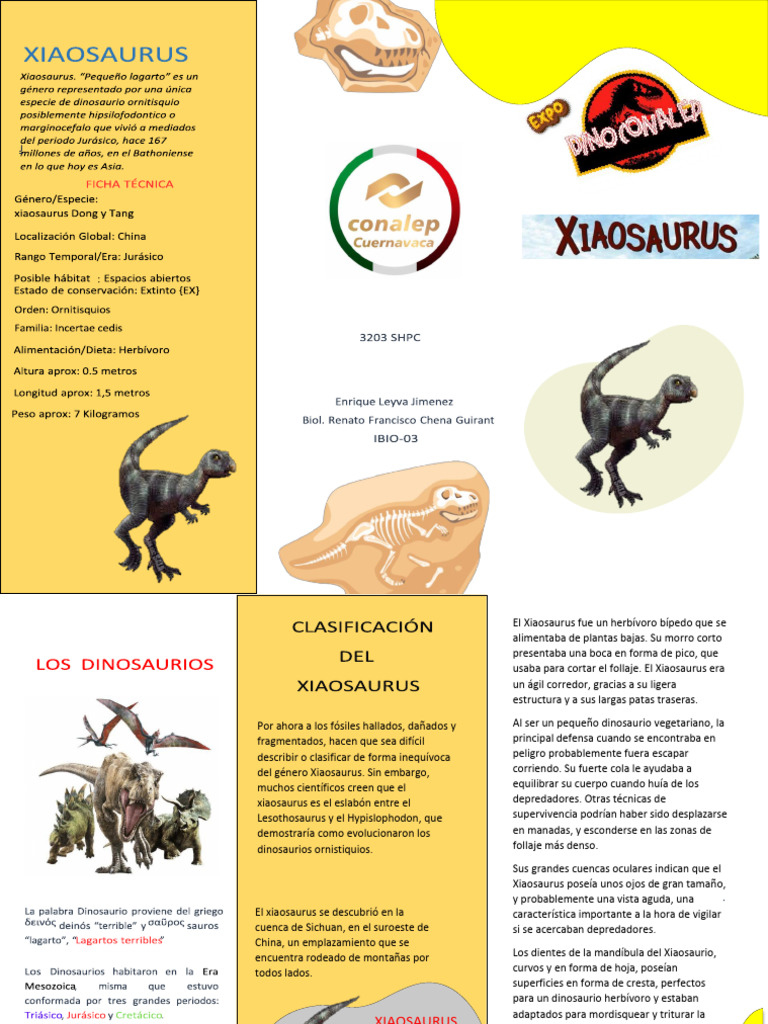Triptico Expo Dino | PDF