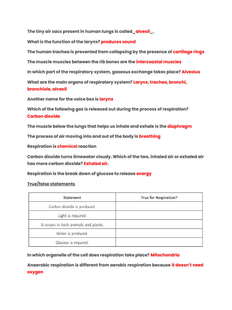 Respiratiob Quick Fire Questions | PDF