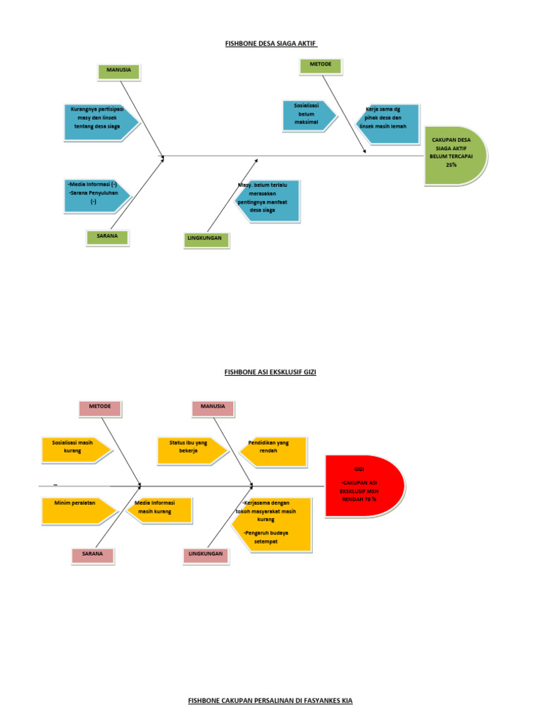 Fishbone Program | PDF