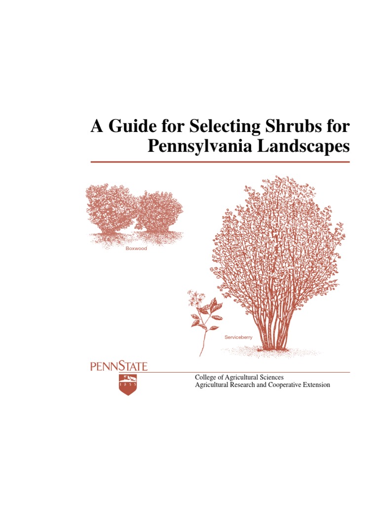 Selecting Shrubs for PA Landscapes | PDF | Rose | Plants