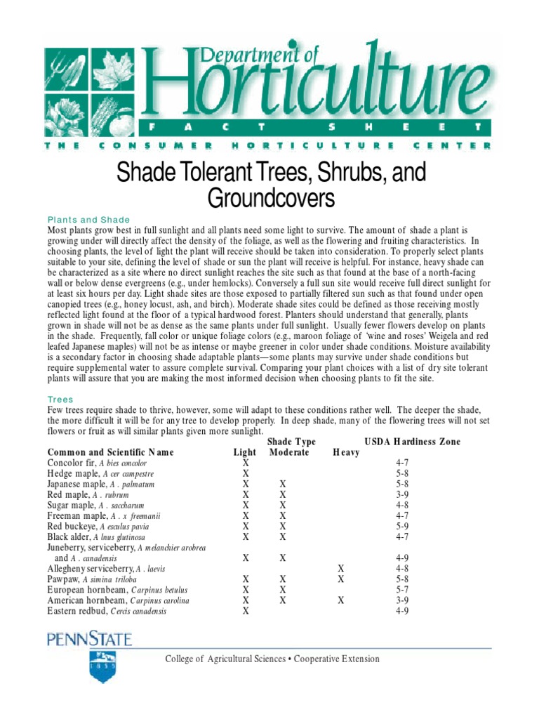 Shade Tolerant Trees, Shrubs, and Groundcovers | PDF | Pennsylvania ...