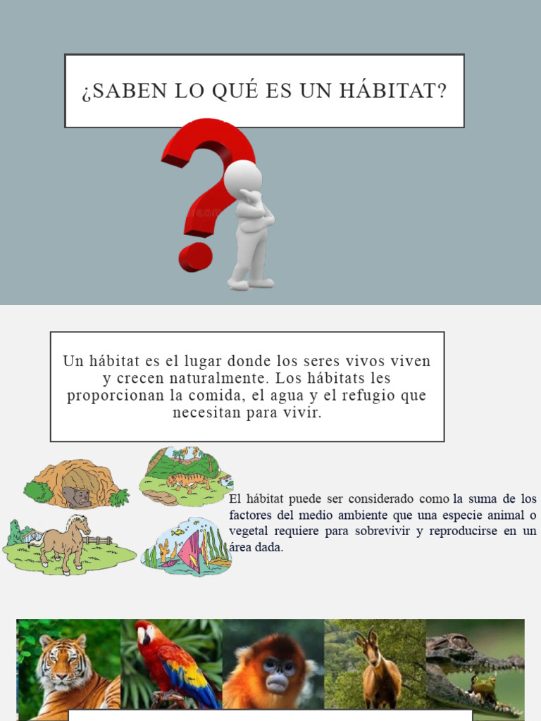 Saben Lo Qué Es Un Hábitat | PDF
