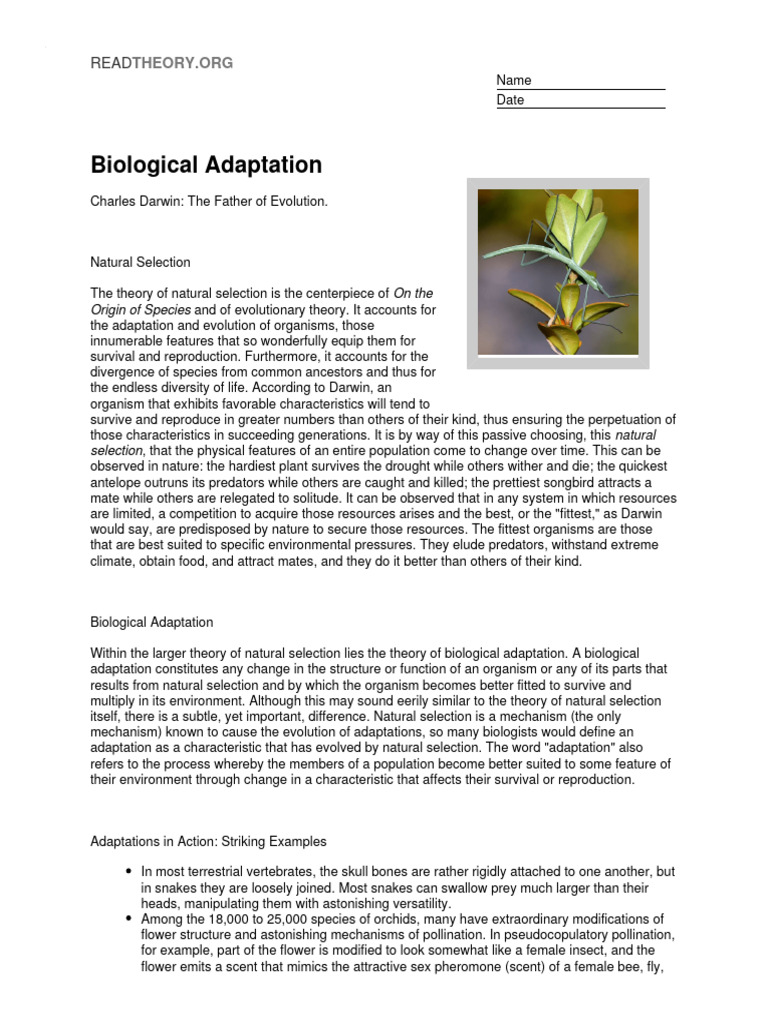 Biological Adaptation | PDF | Natural Selection | Adaptation