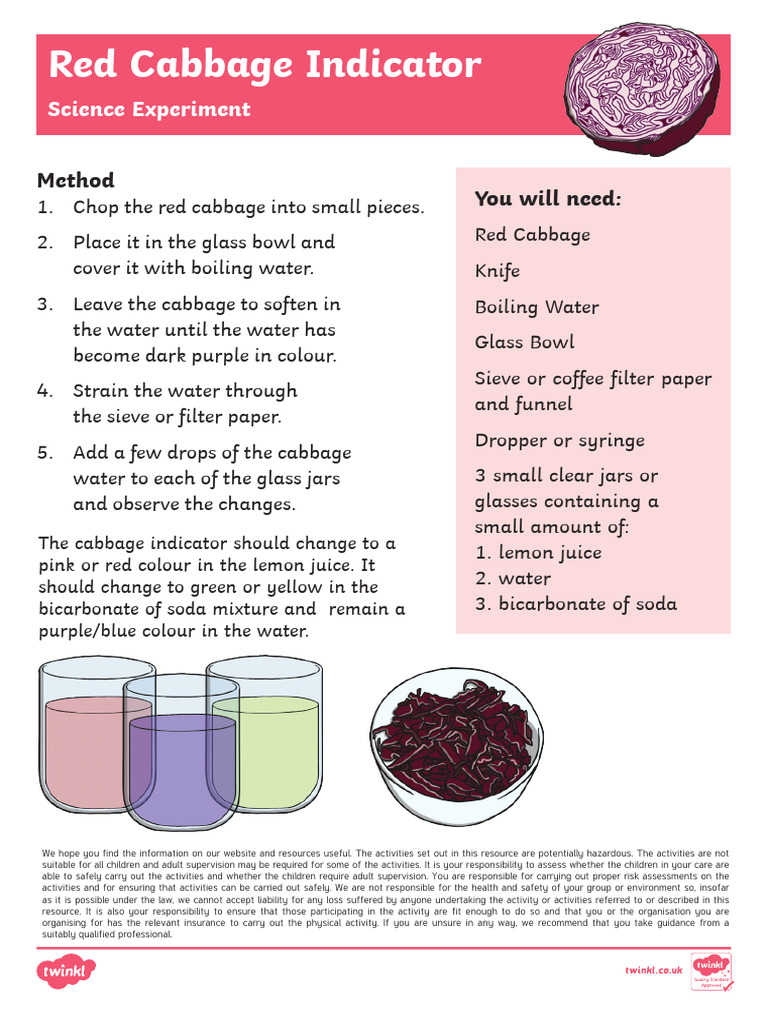 Science Experiment | PDF | Water | Safety