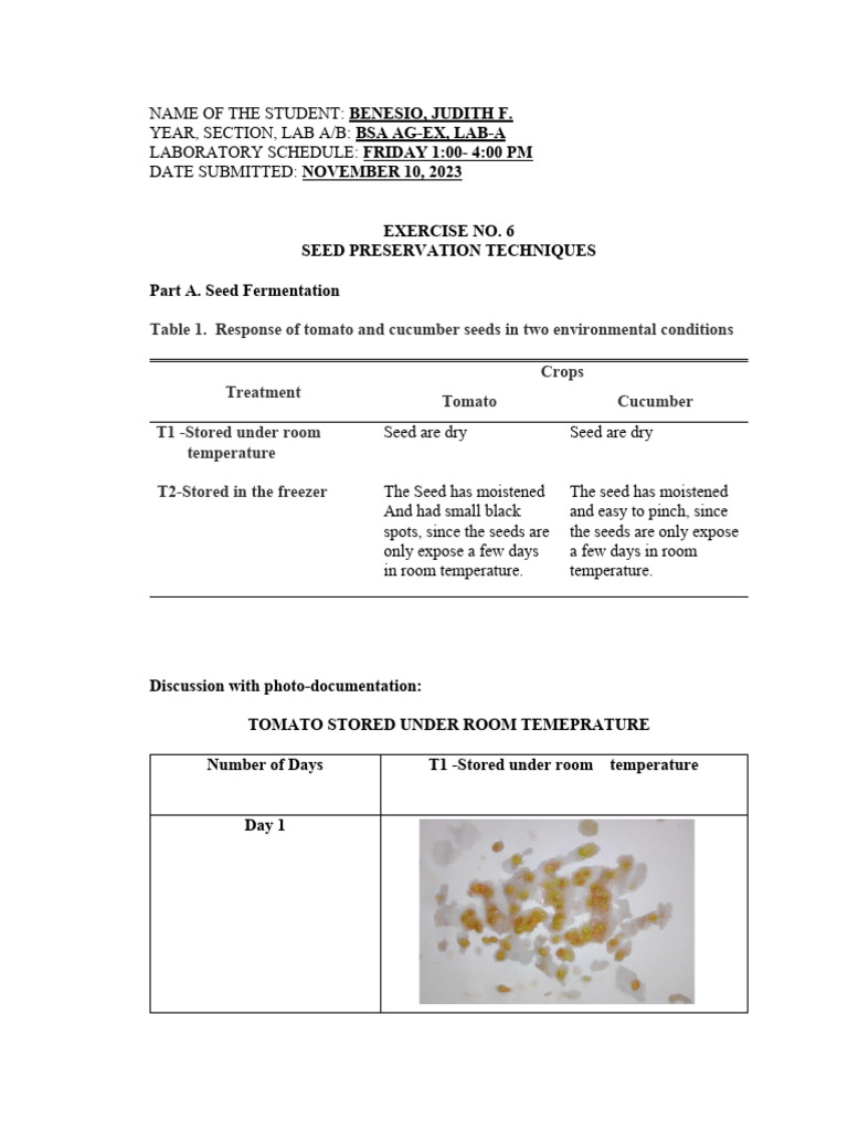 Lab Report. Exercise 6. | PDF | Fermentation | Pickling