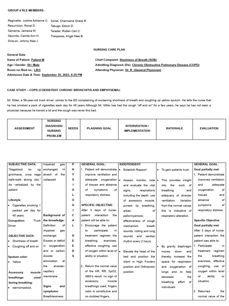 NCP | PDF | Breathing | Respiratory System
