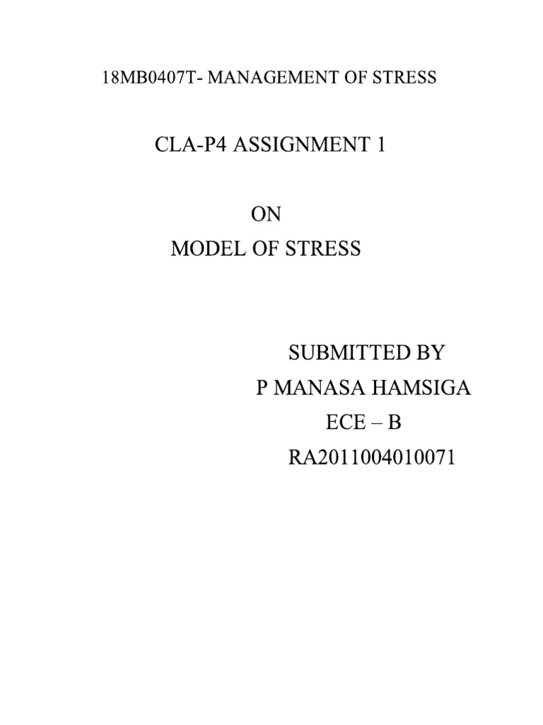 Stress Assignment | PDF