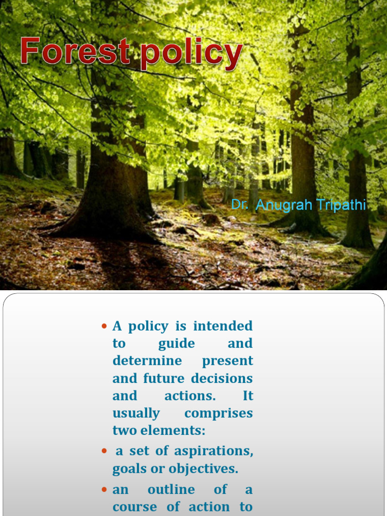 Forest Policy | PDF | Forestry | Agriculture