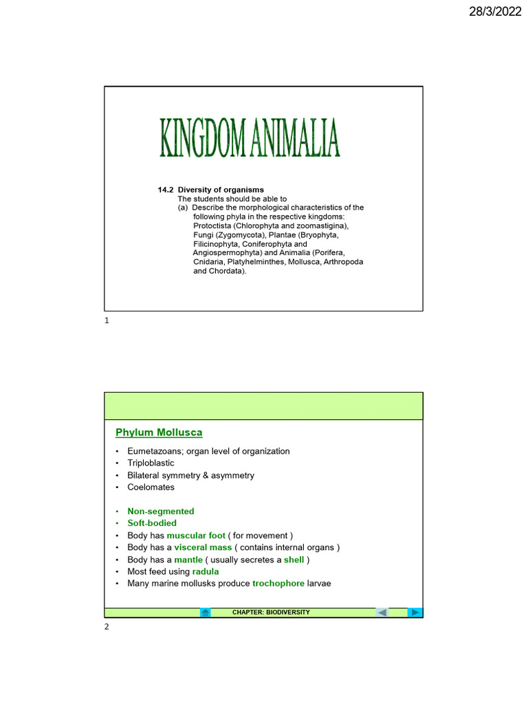Animalia (Mollusca) Notes | PDF | Mollusca | Bivalvia