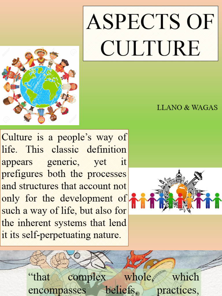 Aspects of Culture | PDF | Traditions | Knowledge
