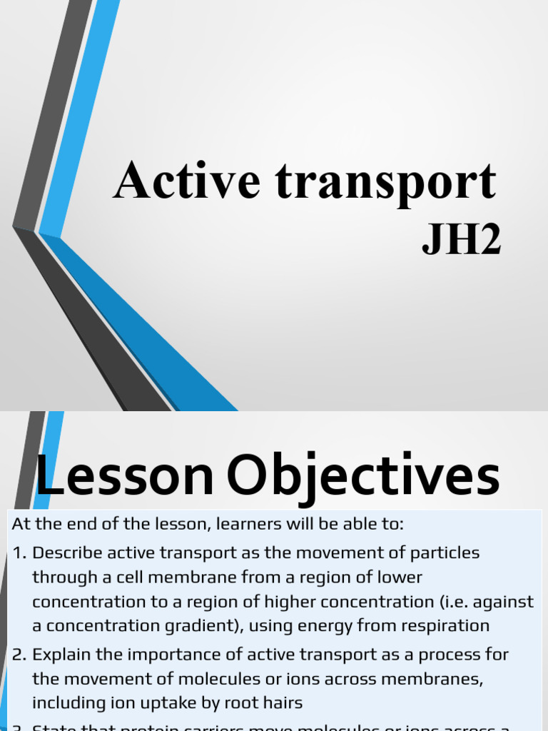 Understanding Active Transport in Cells | PDF | Cell Membrane | Chemistry