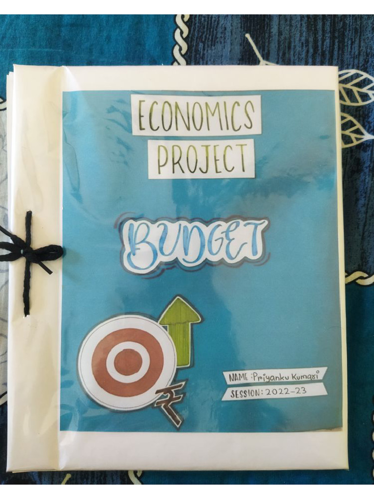 Government Budget Pdf