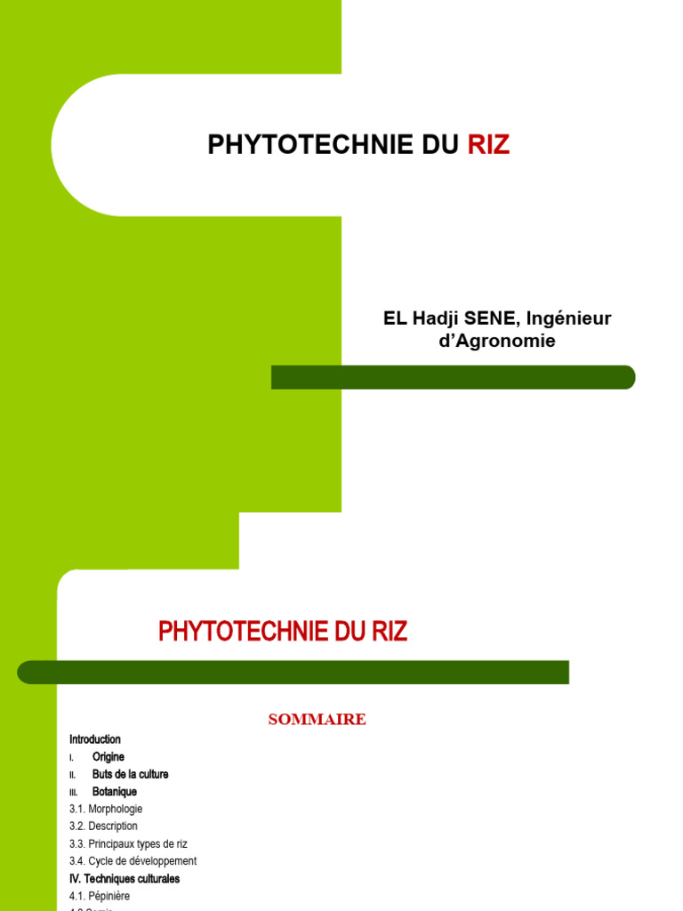 1.cours Phytotechnie Riz | PDF | Riz | Graine