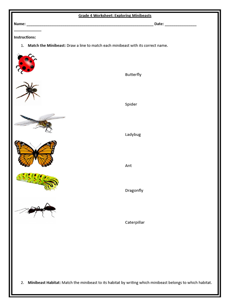 Grade 4 Worksheet (Minibeasts) | PDF