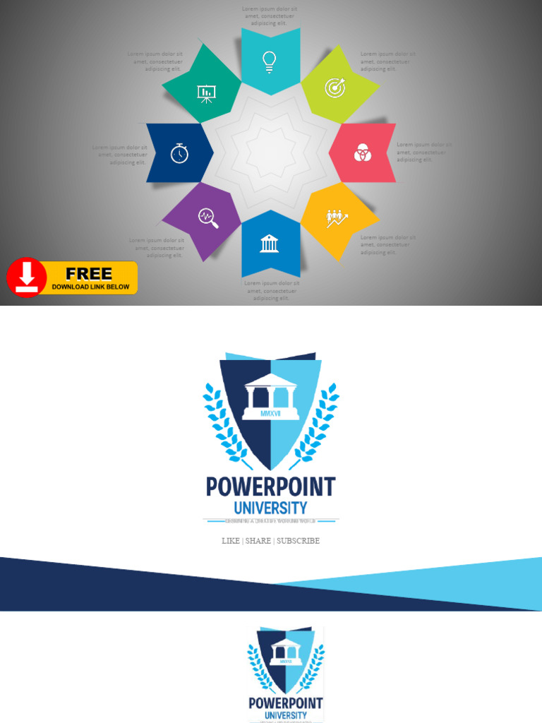 8 Octagon Options | PDF