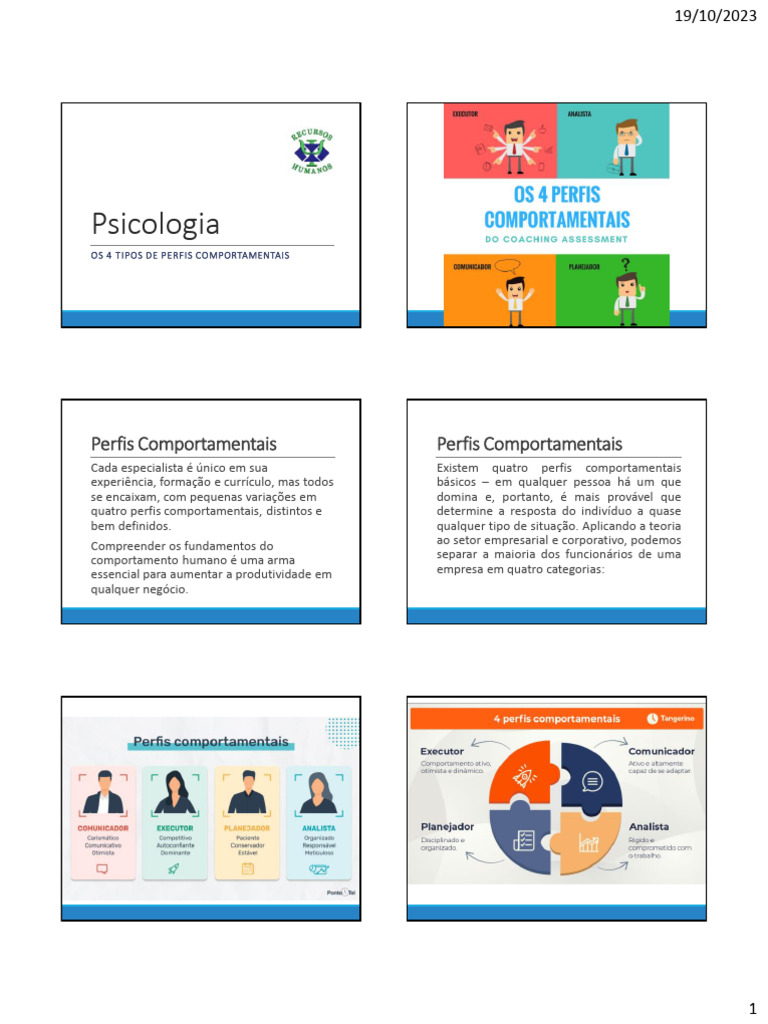 Tipos de Perfis Comportamentais | PDF | Comportamento | Comunicação