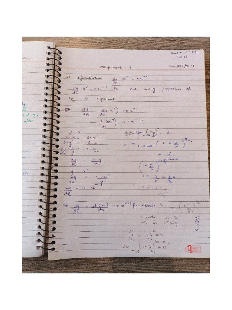 Calc Assignment 3 | PDF