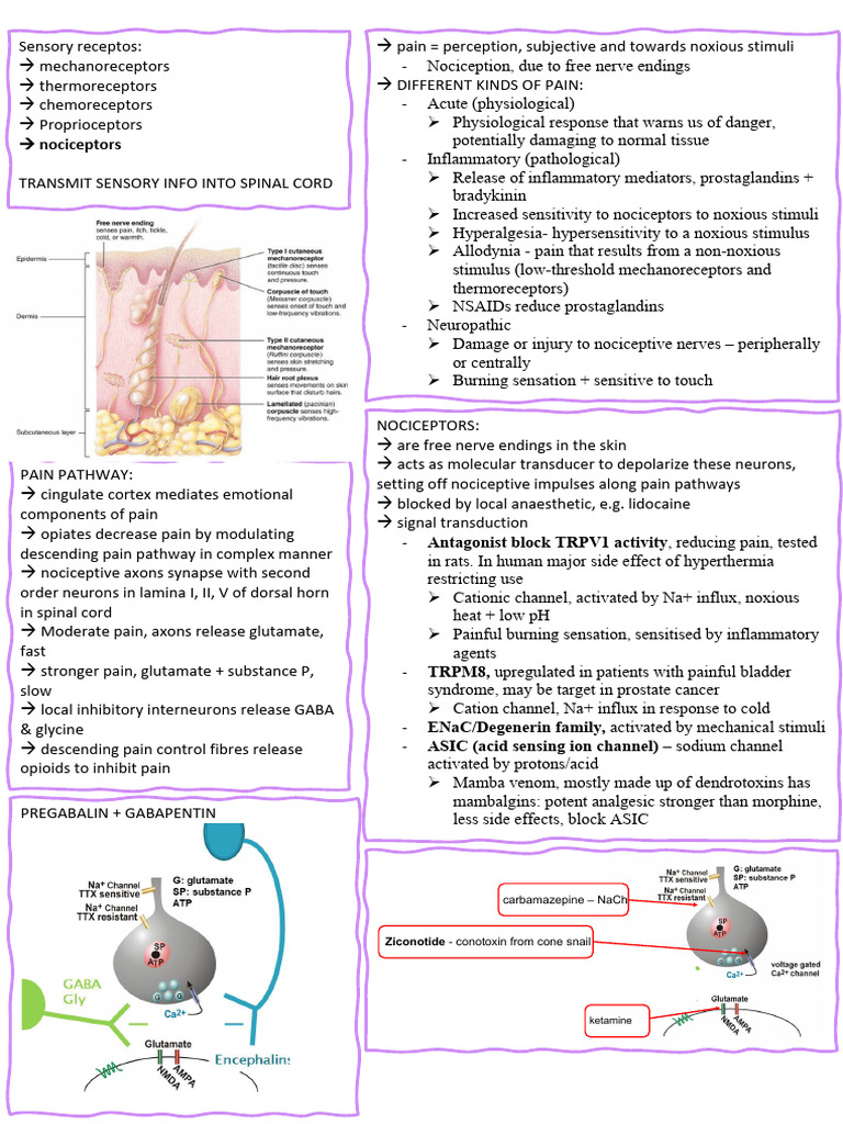 Pain + Analgesia Sum Sheet | PDF | Analgesic | Opioid